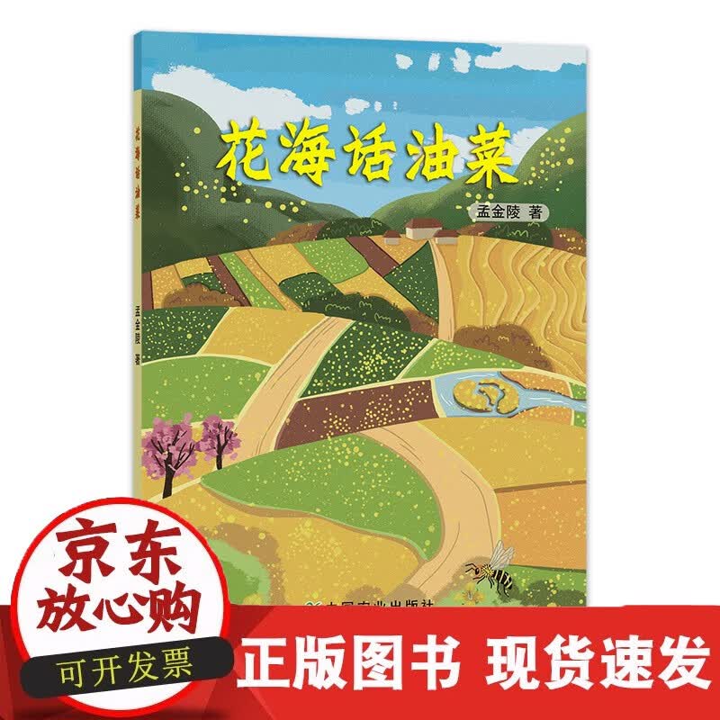 速发 花海话油菜花海油菜油菜花