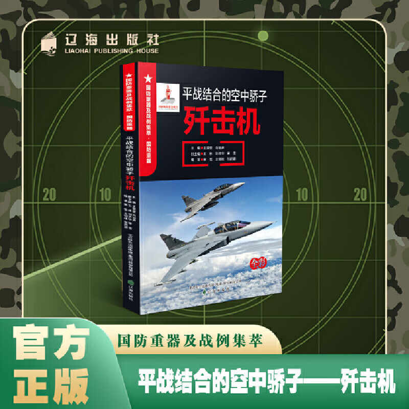 平战结合的空中骄子--歼击机