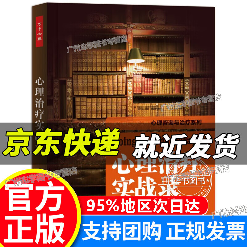心理咨询与治疗系列：心理治疗实战录 红色