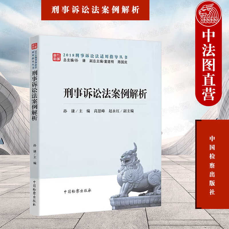 刑事诉讼法案例解析 孙谦 中国检察 9787510222603
