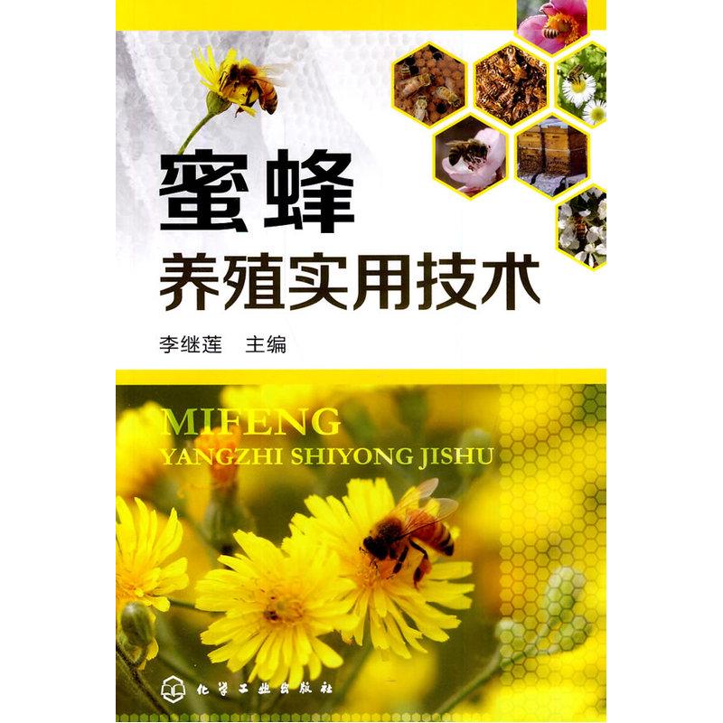 蜜蜂养殖实用技术  书籍