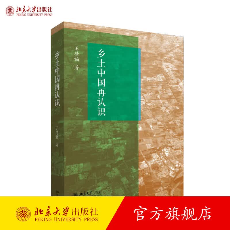 乡土中国再认识 王德福 著 社会生活与社会问题 北京大学出版社官方旗舰店