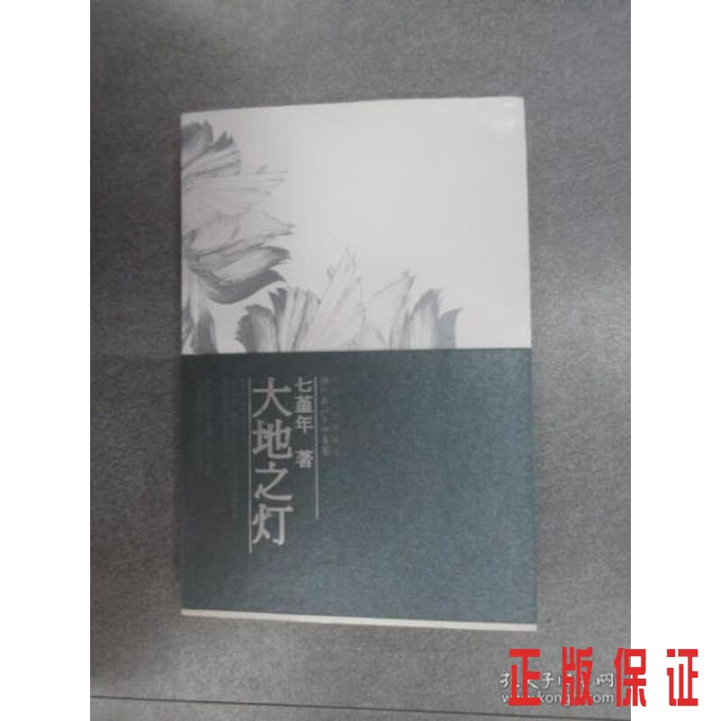 保证 可开发票！！大地直行