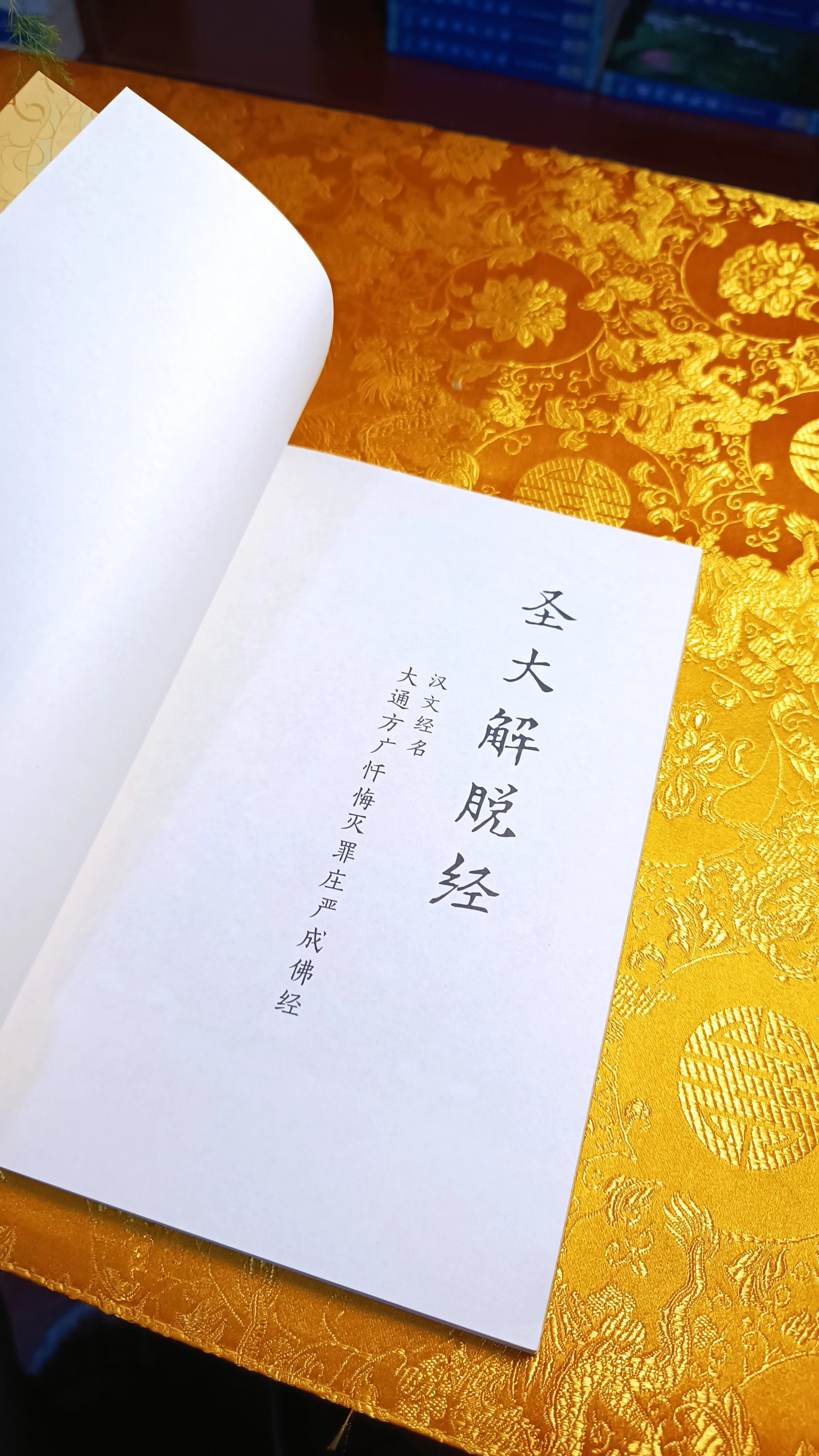 【现货】圣大解脱经