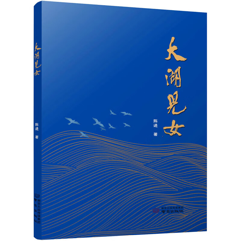 大湖儿女 陈进 书籍 图书