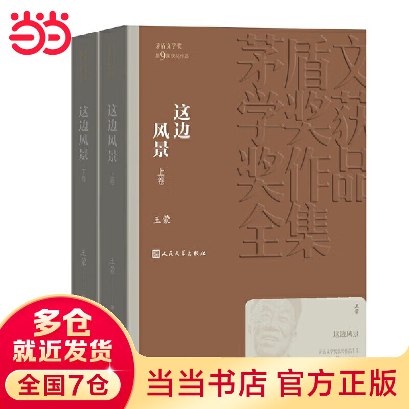 这边风景（茅盾文学获奖作品全集37）