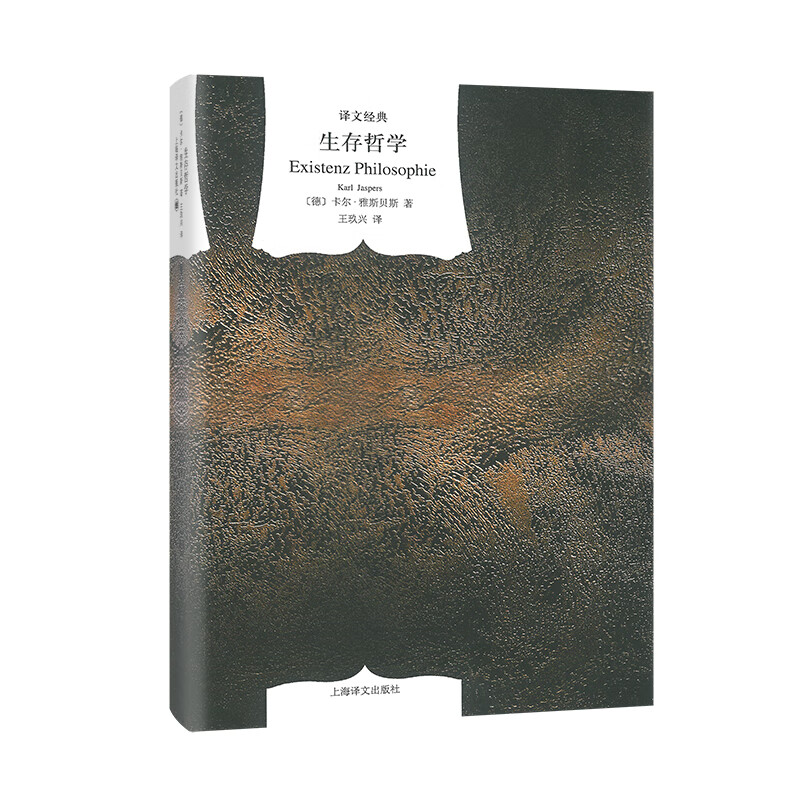 文学名著·译文经典：生存哲学（精装）
