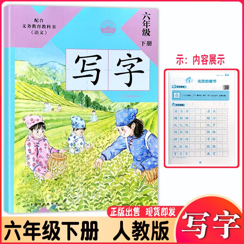 2023春小学基础训练6/六年级下册语文数学英语科学人教苏教北师大 写字 六年级下