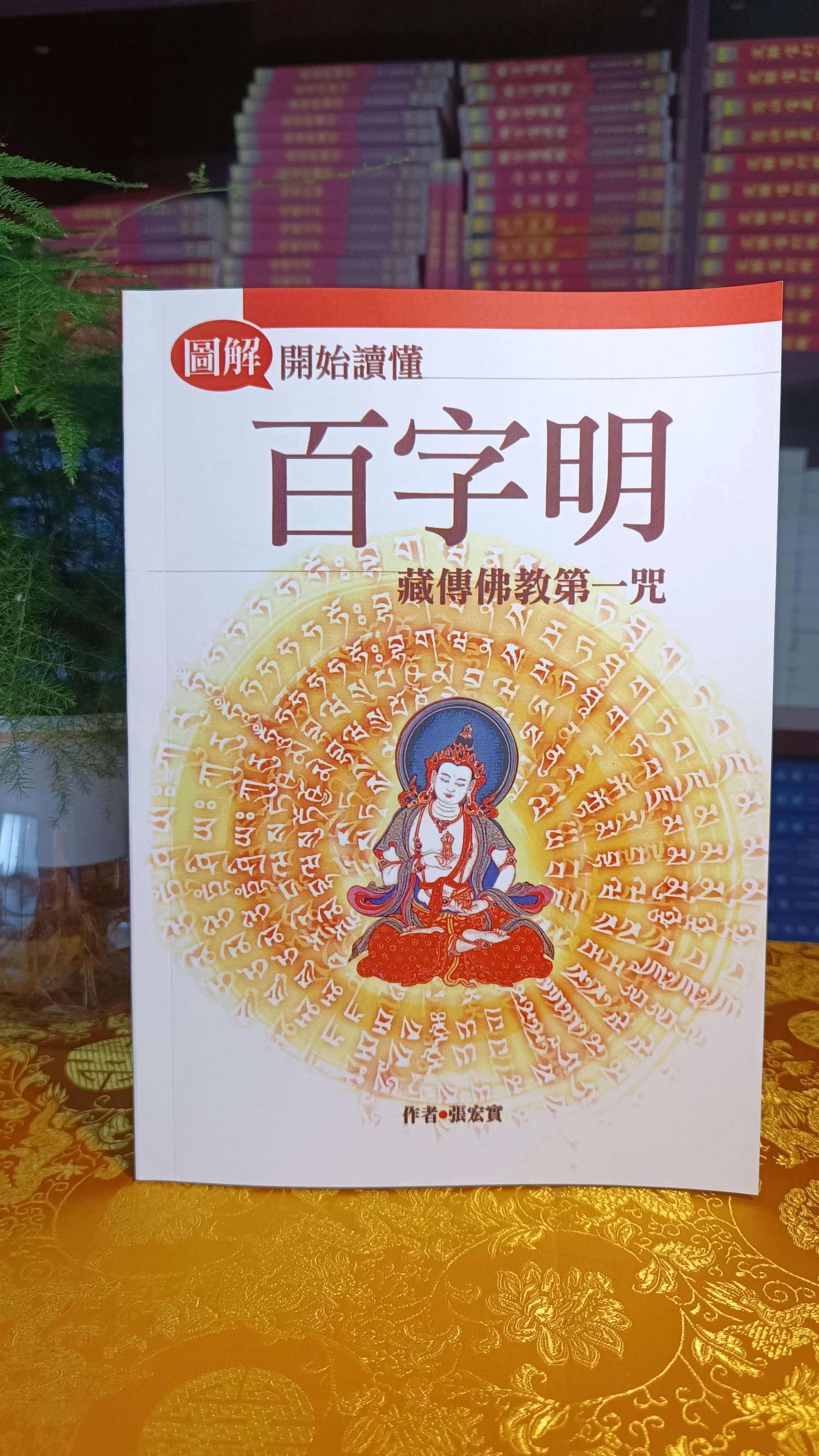 开始读懂百字明藏传佛教第 一咒经书密宗书籍