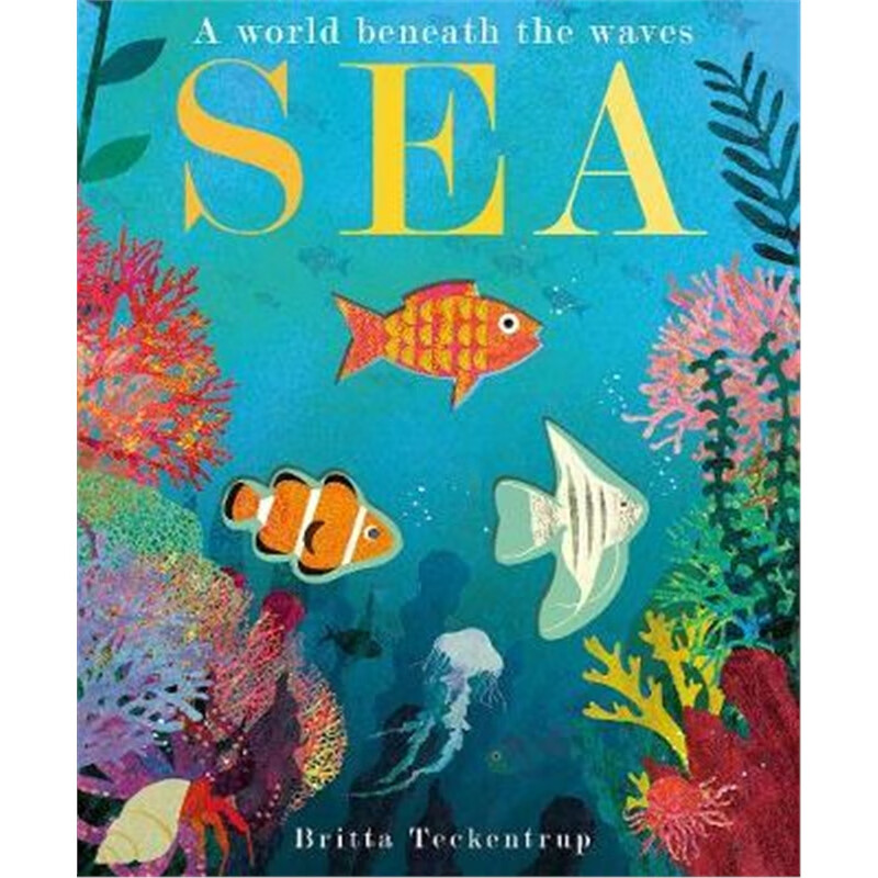 Sea:A World Beneath the Waves