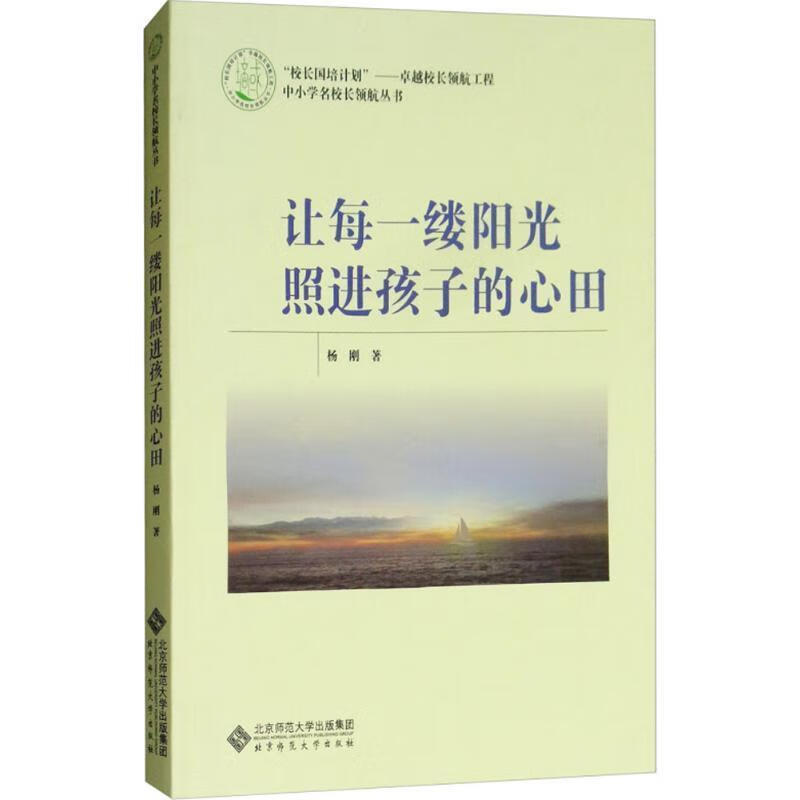 让每一缕阳光照进孩子的心田 杨刚 著