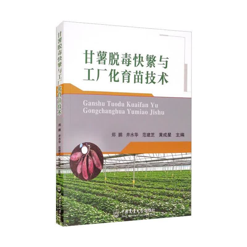 甘薯脱毒快繁与工厂化育苗技术 图书
