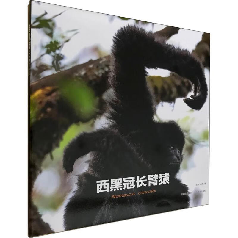 西黑冠长臂猿