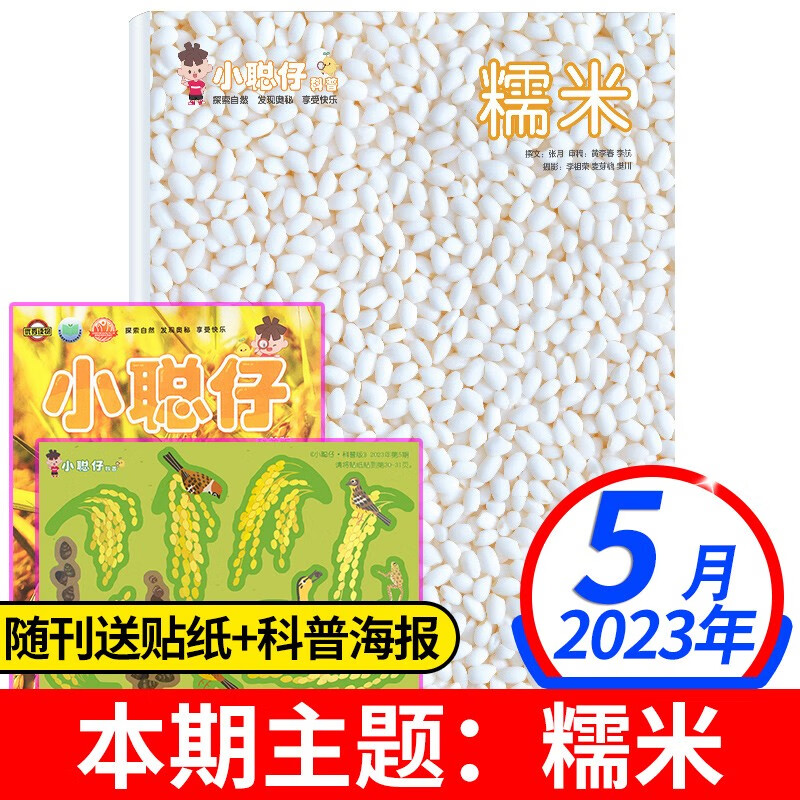 【6月新期到】小聪仔科普版杂志2023年【单本多期可选】幼儿益智兴趣智力开发低年级儿童科普百科自然探索奥秘非2022过期刊 2023年5月【糯米】