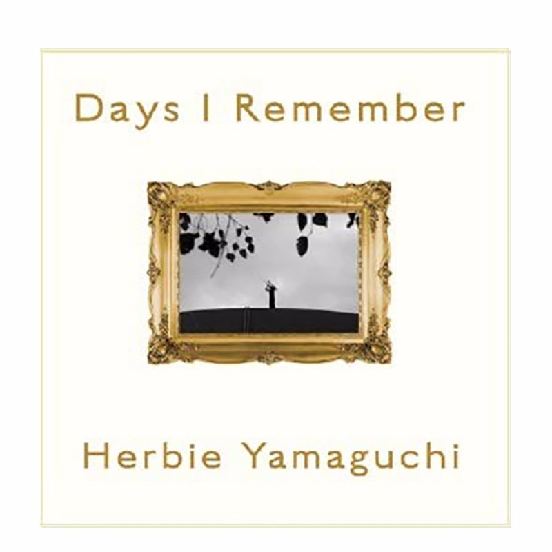 Herbie Yamaguchi 摄影集 DAYS I REMEMBERハービー山口 进口日文原版善本图书