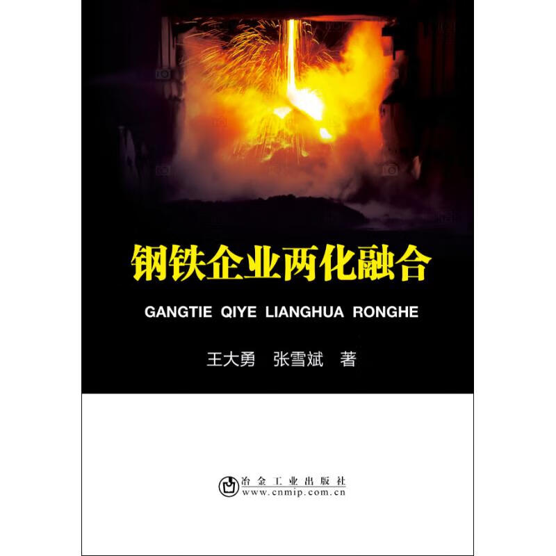 钢铁企业两化融合 王大勇,张雪斌 书籍