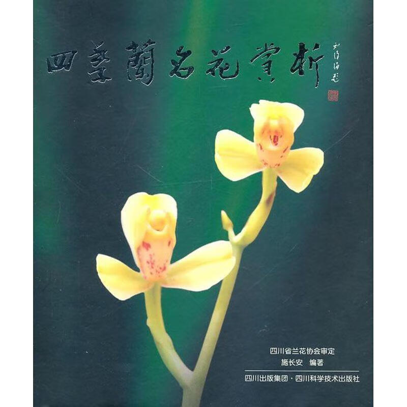 四季兰名花赏析 施长安