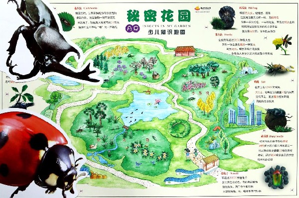 秘密花园/AR少儿知识地图