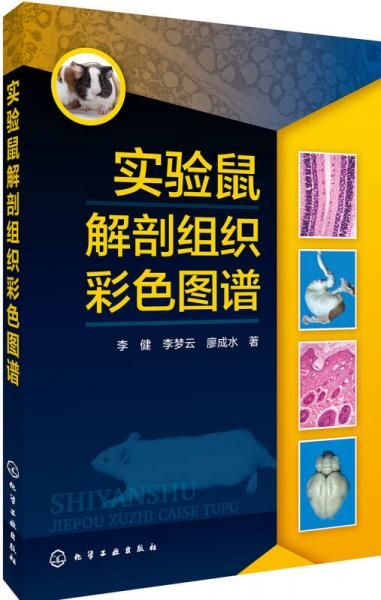 实验鼠解剖组织彩色图谱