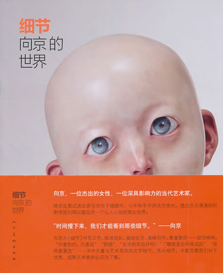 细节向京的世界 向京【书】