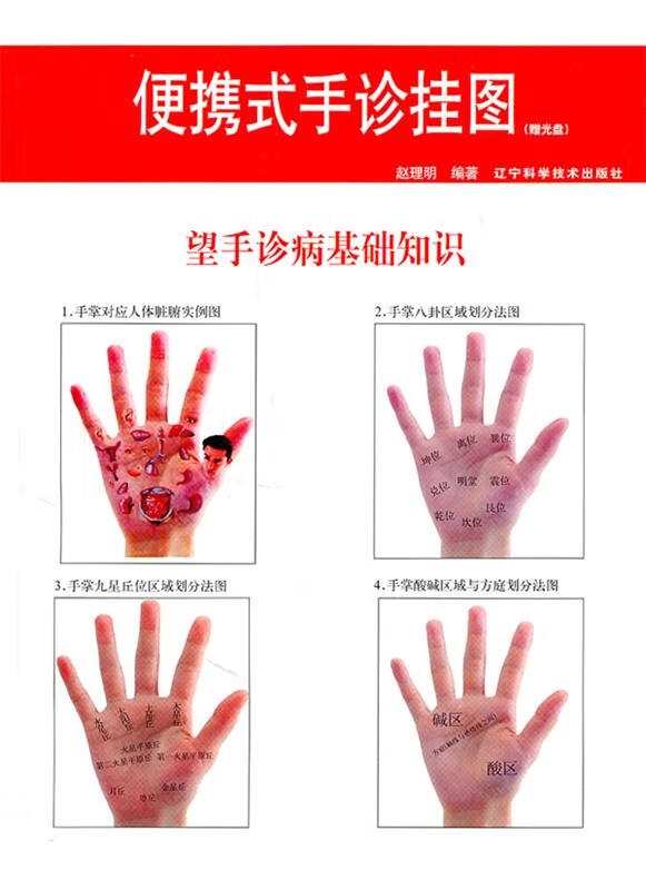 便携式手诊挂图 赵理明 主编