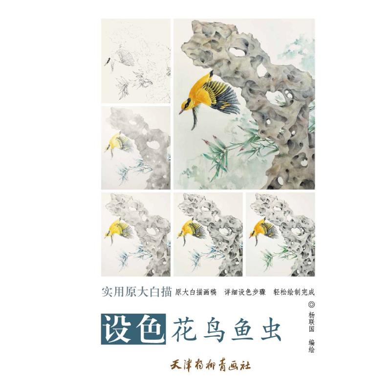 设色花鸟鱼虫 杨联国  田瑾  那欣 编 书籍