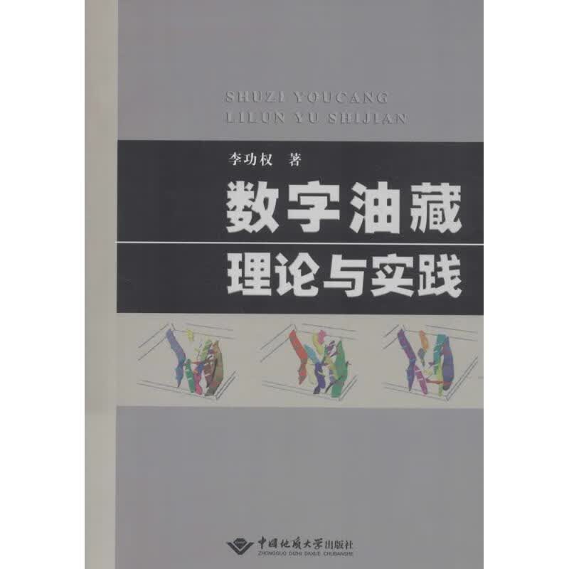 数字油藏理论与实践 李功权 书籍