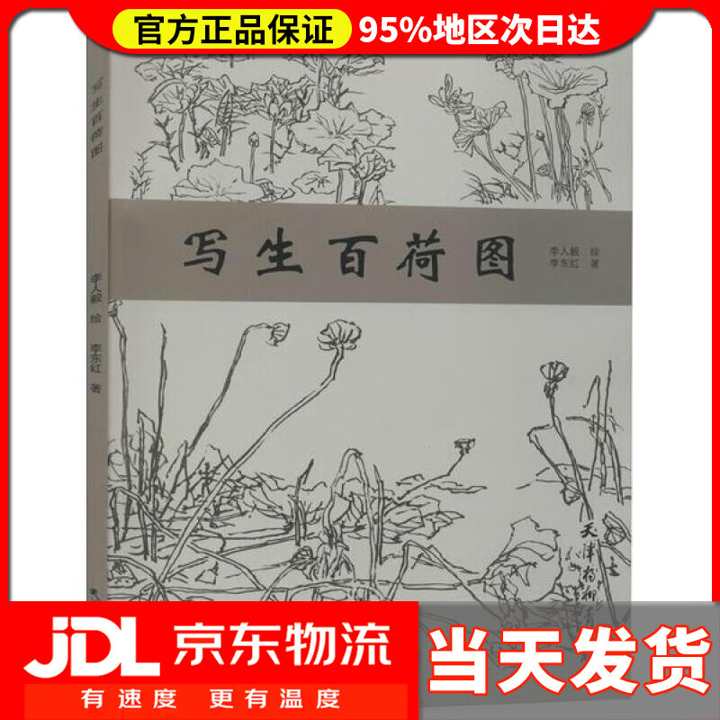 写生百荷图 李东红