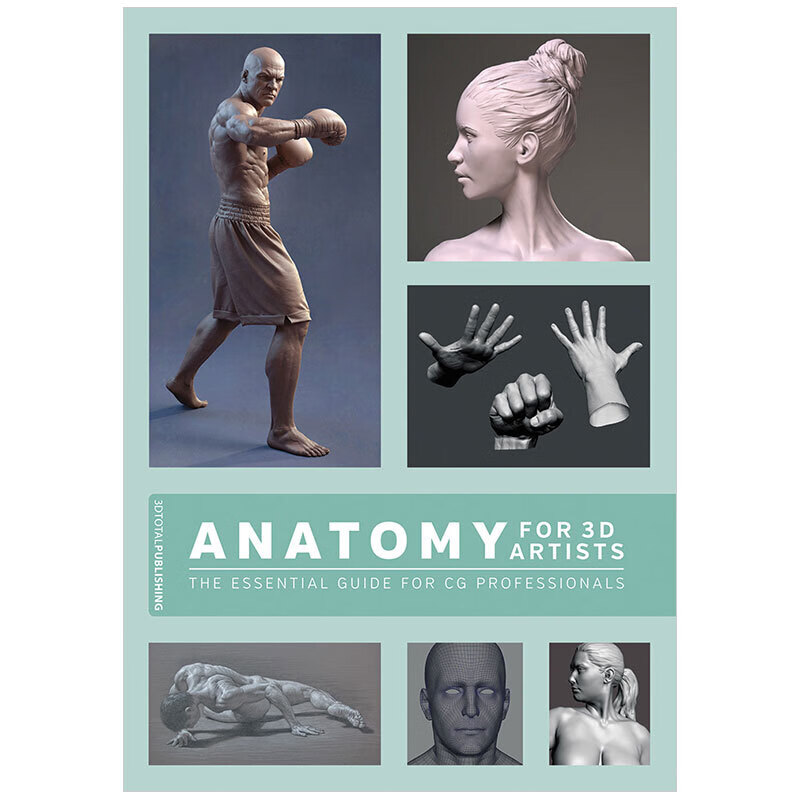 Anatomy for 3D Artists 3D艺术家的解剖学:CG专业人士的基本指南