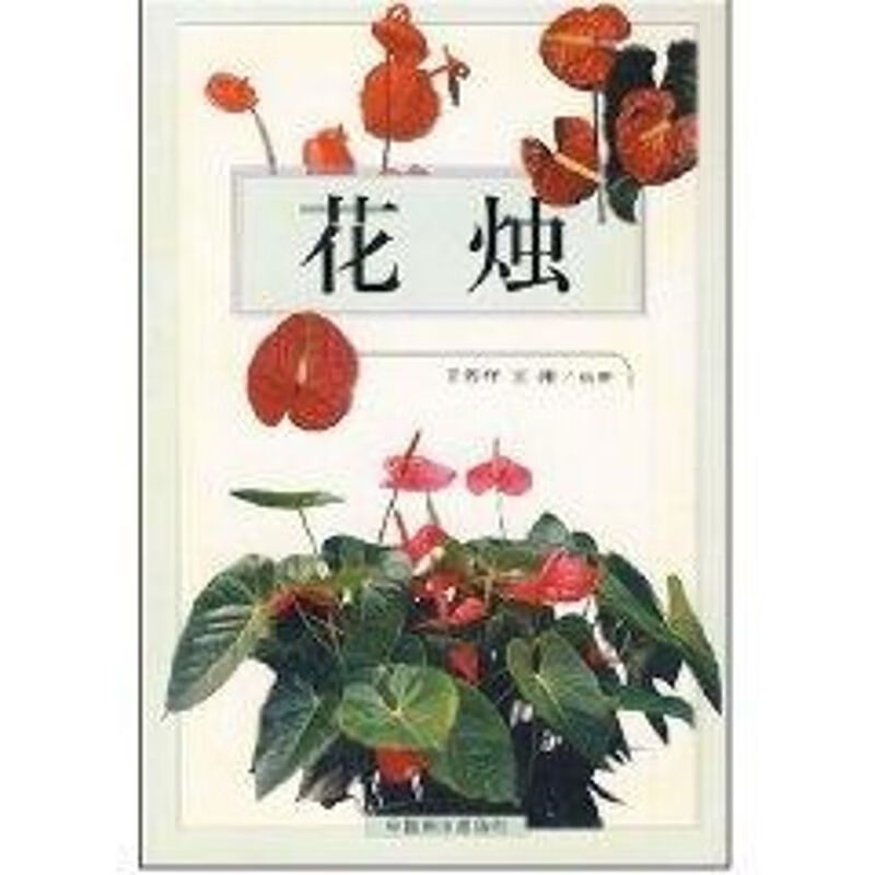 花烛 王若祥，王赧 编 作 书籍