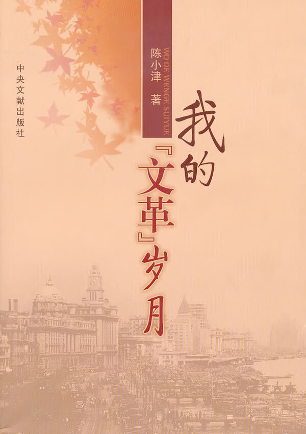 我的文革岁月