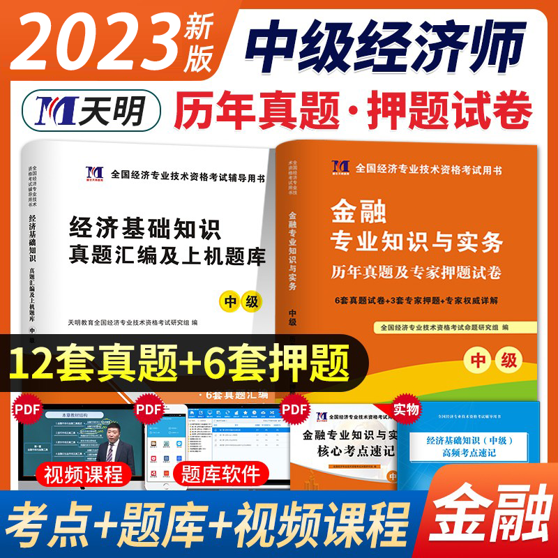 中级经济师2023教材配套真题试卷 备考2023年全国中级经济师真题汇编及上机题库 经济师中级历年真题试卷 经济基础知识+金融知识与实务