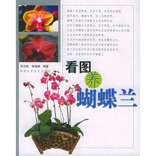 看图养蝴蝶兰【特惠】