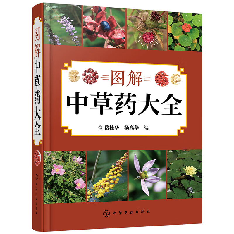 图解中cao药 岳桂华