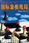 怎样学下国际象棋残局 洪克敏,洪涛