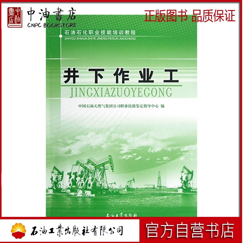 井下作业工(石油石化职业技能培训教程)