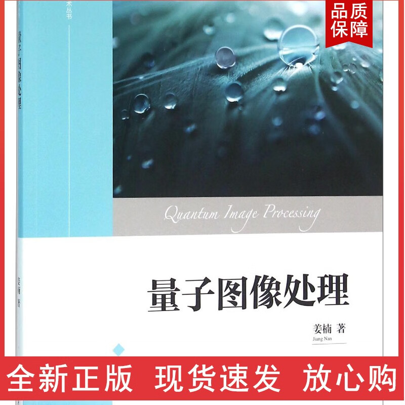 量子图像处理/电子信息前沿技术丛书