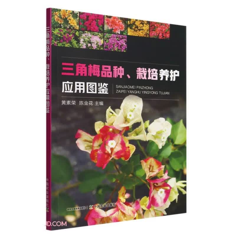 三角梅品种栽培养护应用图鉴