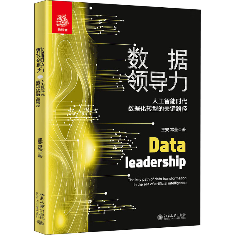 数据领导力 人工智能时代数据化转型的关键路径 王安,常莹 书籍