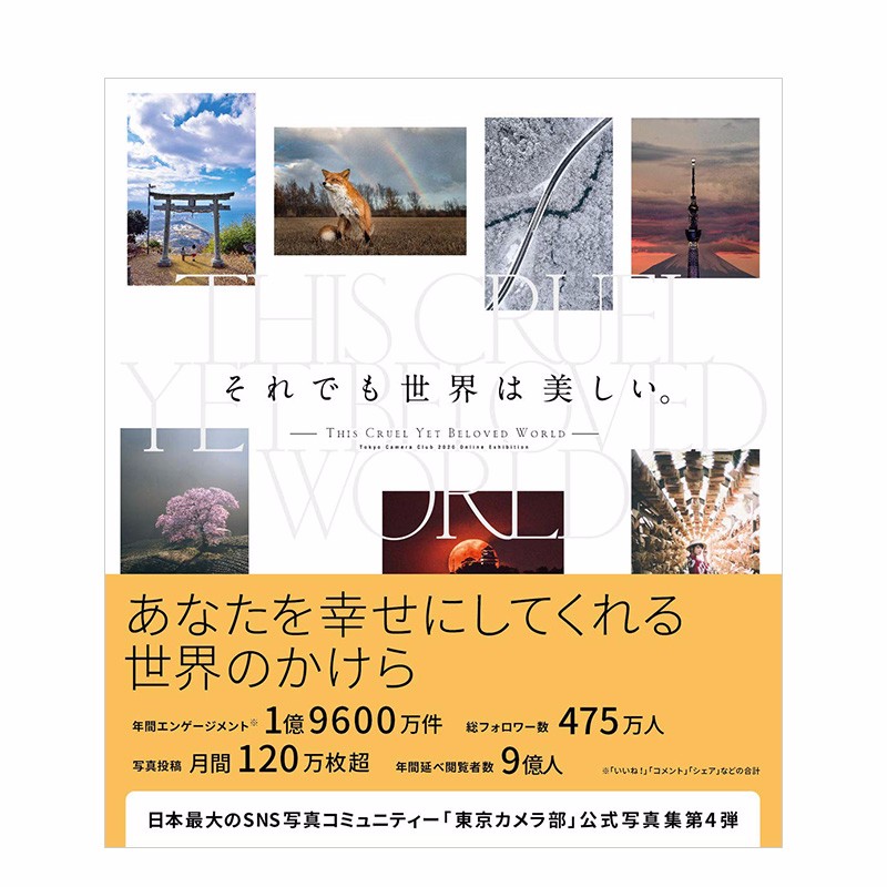 摄影精选集：即便如此世界依旧美丽 それでも世界は美しい。 进口日文原版 风景 宠物 人物 摄影集善本图书