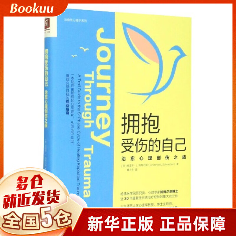 拥抱受伤的自己(治愈心理创伤之旅)/治愈性心理学系列