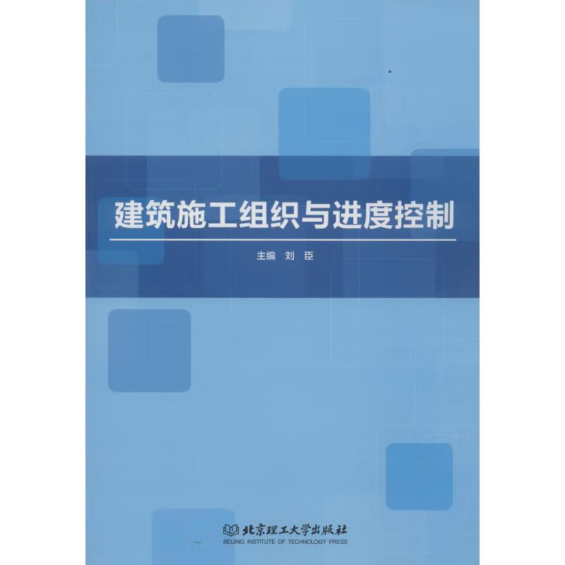 建筑施工组织与进度控制 刘臣 编 书籍