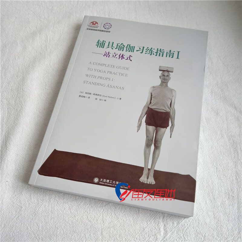 辅具瑜伽习练指南1—站立体式大连理工大学出版社 艾扬格瑜伽学院教材系列9787568526791
