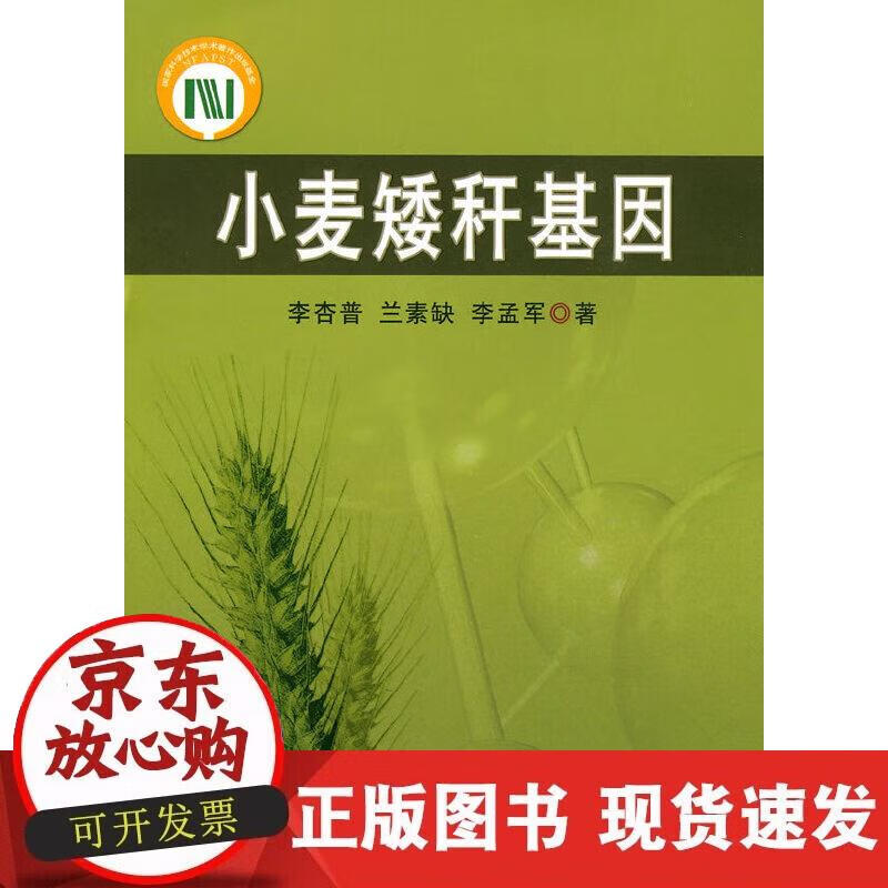 【现货】小麦矮秆基因
