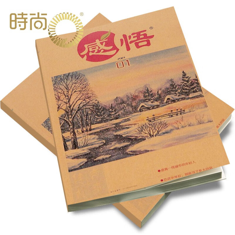 感悟 文学文摘心灵励志期刊2023年9月起订全年杂志订阅新刊1年共12期 7折