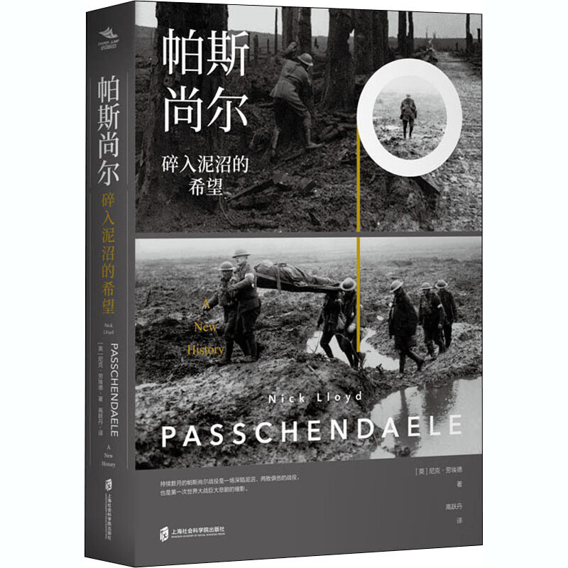 帕斯尚尔 碎入泥沼的希望