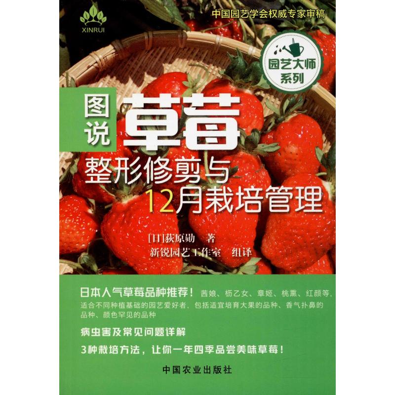 图说草莓整形修剪与12月栽培管理
