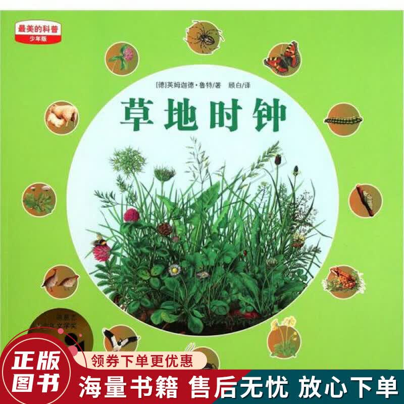 草地时钟-美的科普-少年版