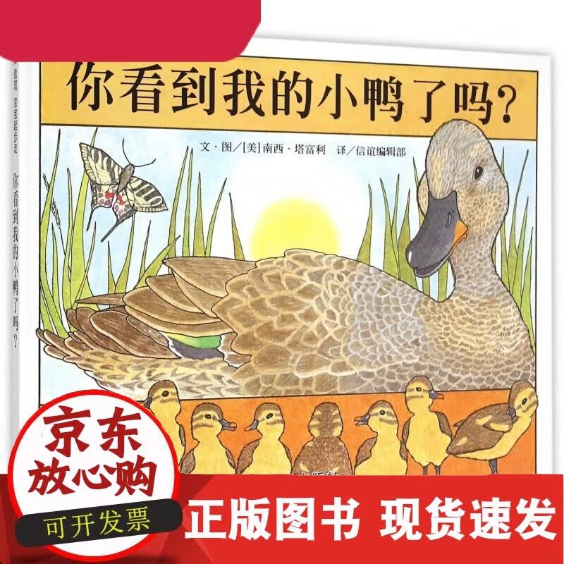 【信谊店】【凯迪克】信谊宝宝起步走：你看到我的小鸭了吗精装