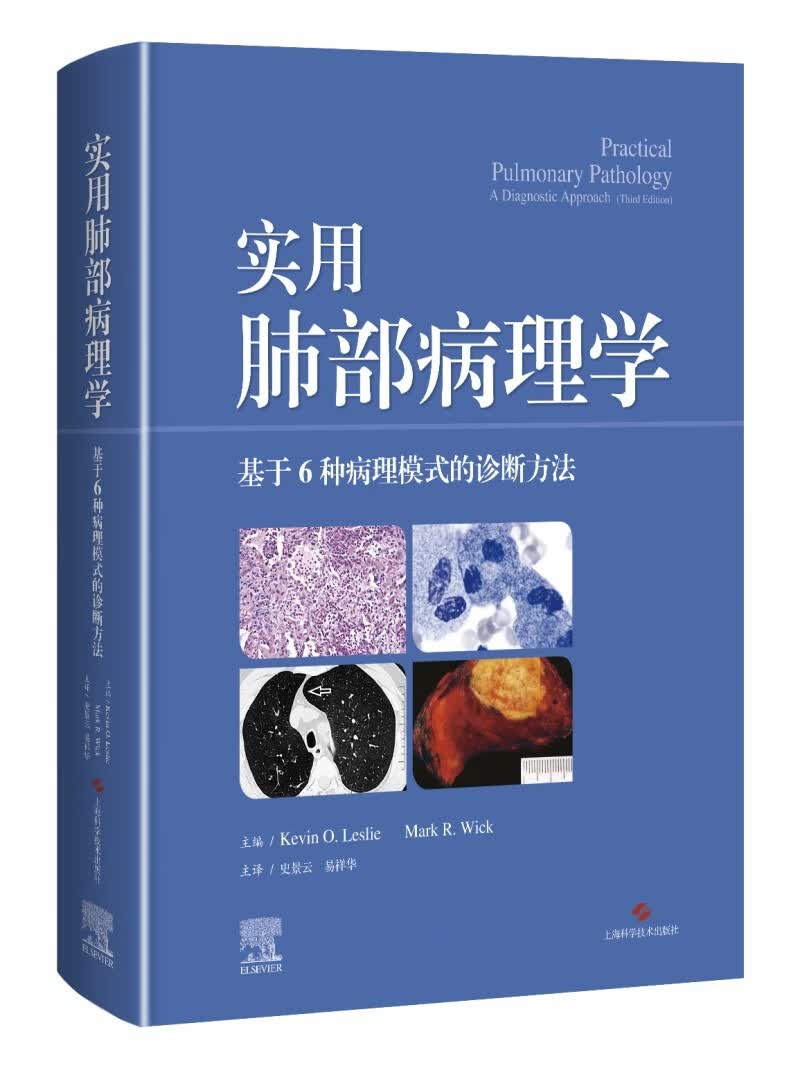 实用肺部病理学——基于6种病理模式的诊断方法